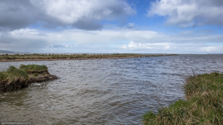 Halswell River Mouth