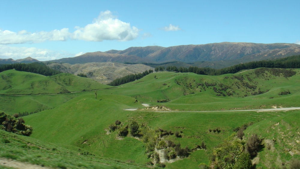 Taihape District Explorer #1