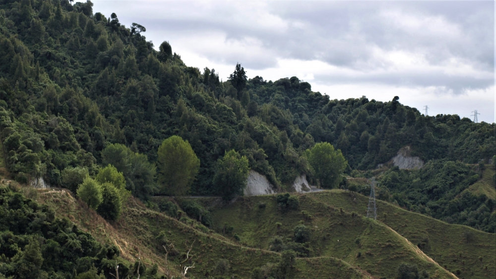 Taihape District Explorer #2