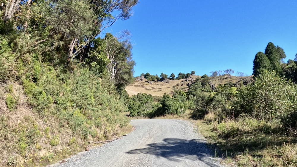 Te Kuiti - Raglan - TeKuiti