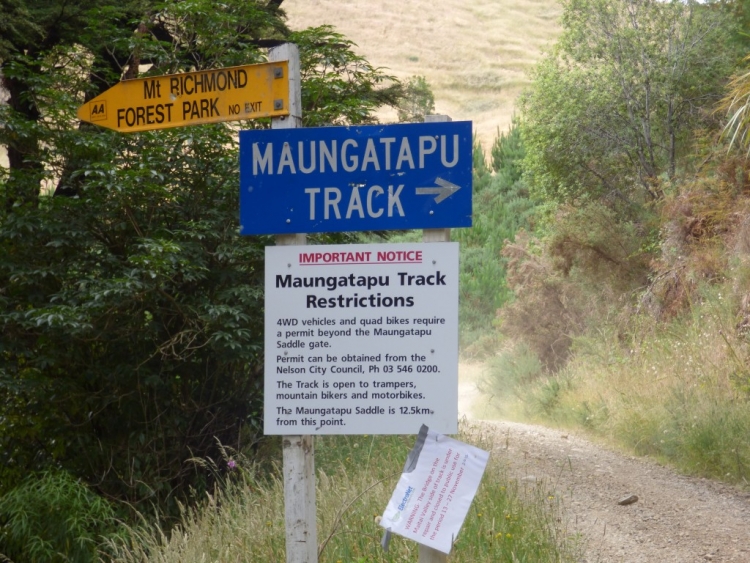 Maungatapu Track